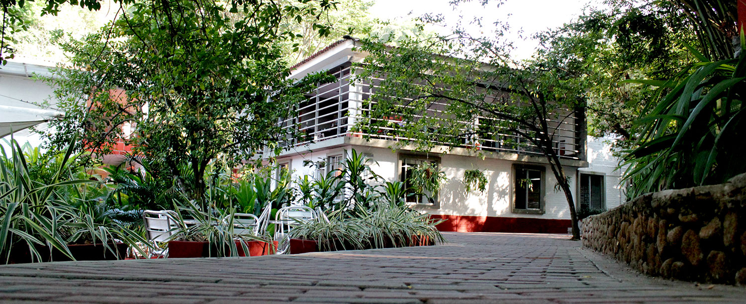 Colegio Freinet – Sabemos que el mundo tiene futuro porque creemos en ti.